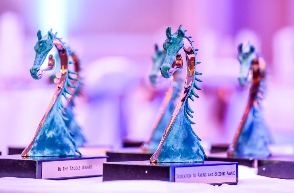 Nominations open for Irish Thoroughbred Industry Employee Awards ...